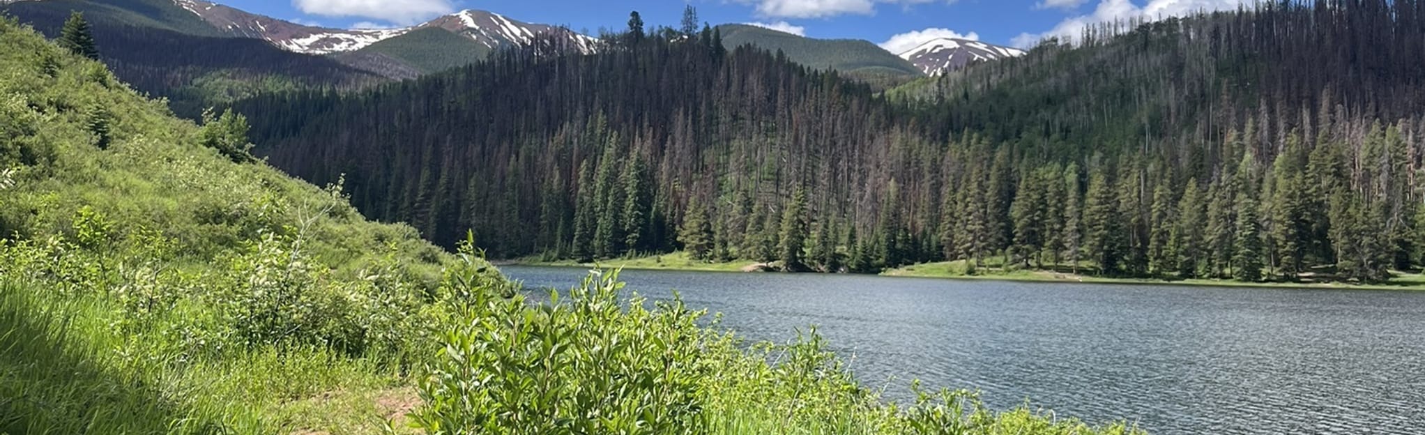 Sylvan Lake Trail, Colorado - 140 Reviews, Map | AllTrails