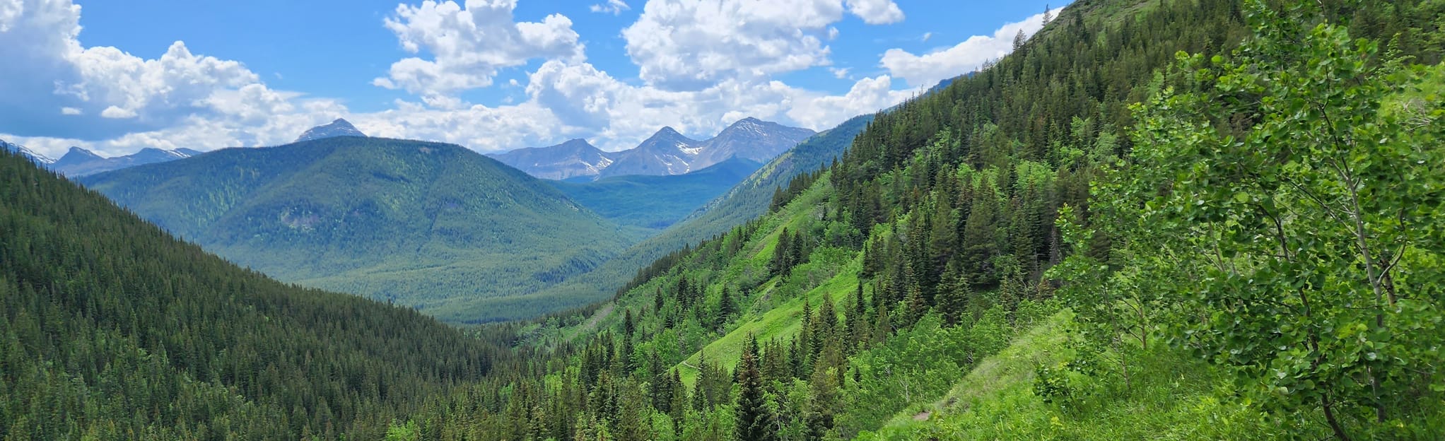 Moose Mountain Trail, Alberta, Canada - 1,419 Reviews, Map | AllTrails
