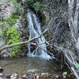 Holy Jim Canyon Trail, California - 411 Reviews, Map | AllTrails