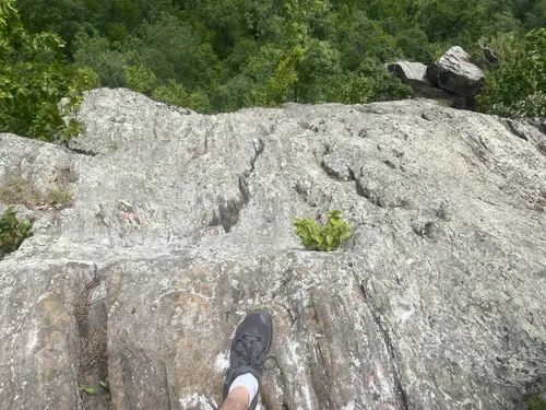 Best Hikes and Trails in Tekoa Mountain Wildlife Management Area ...