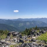 Big Tree Loop, Oregon - 75 Reviews, Map | AllTrails