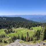 Big Tree Loop, Oregon - 75 Reviews, Map | AllTrails
