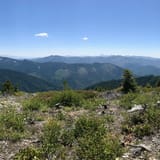 Big Tree Loop, Oregon - 75 Reviews, Map | AllTrails