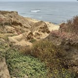 Sunset Cliffs Park Trail, California - 576 Reviews, Map | AllTrails
