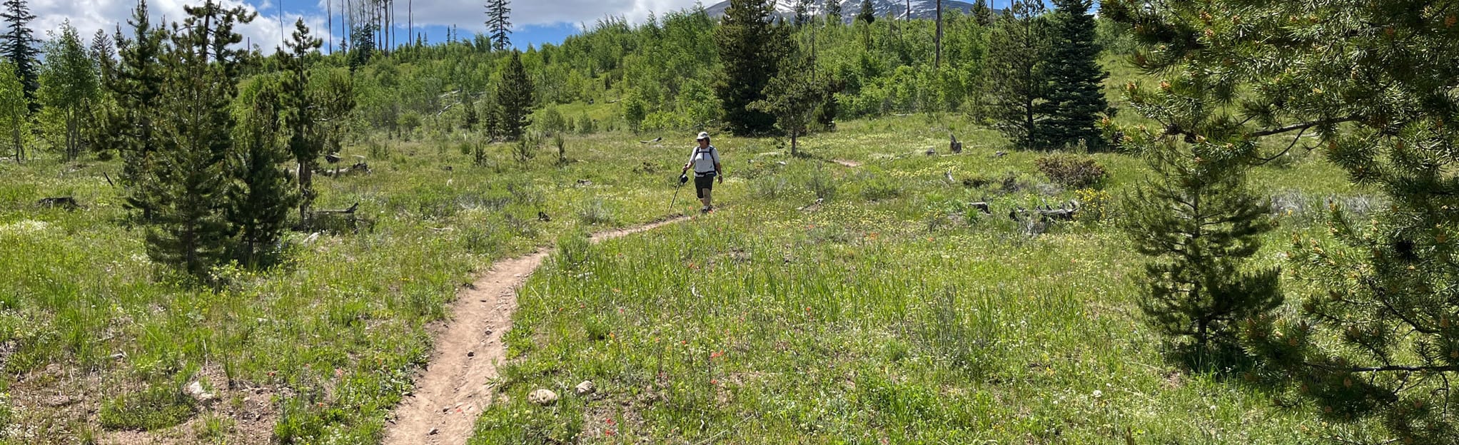 Salt Lick Trail Loop: 121 Reviews, Map - Colorado | AllTrails
