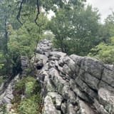 Bear Rocks via Appalachian Trail, Pennsylvania - 482 Reviews, Map ...