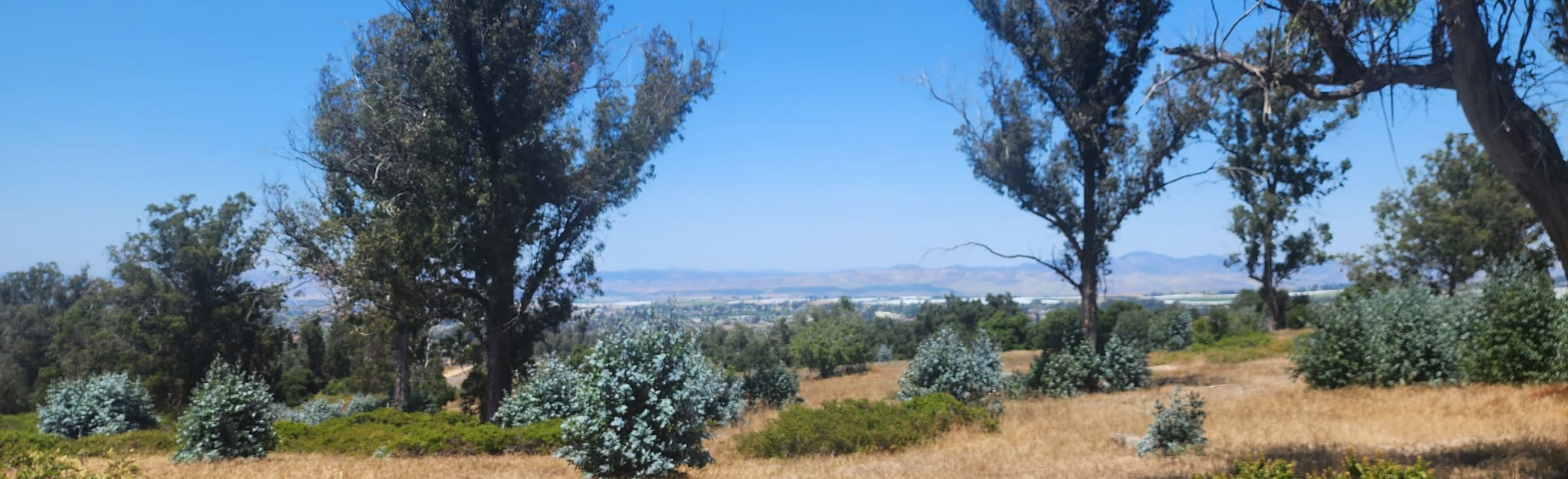Orcutt Hills Coyote Loop, California - 151 Reviews, Map | AllTrails