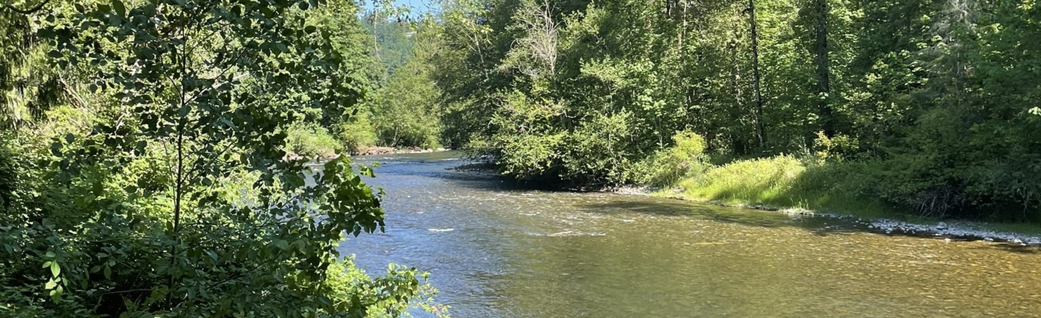 Flaming Geyser State Park Trail: 231 Reviews, Map - Washington | AllTrails