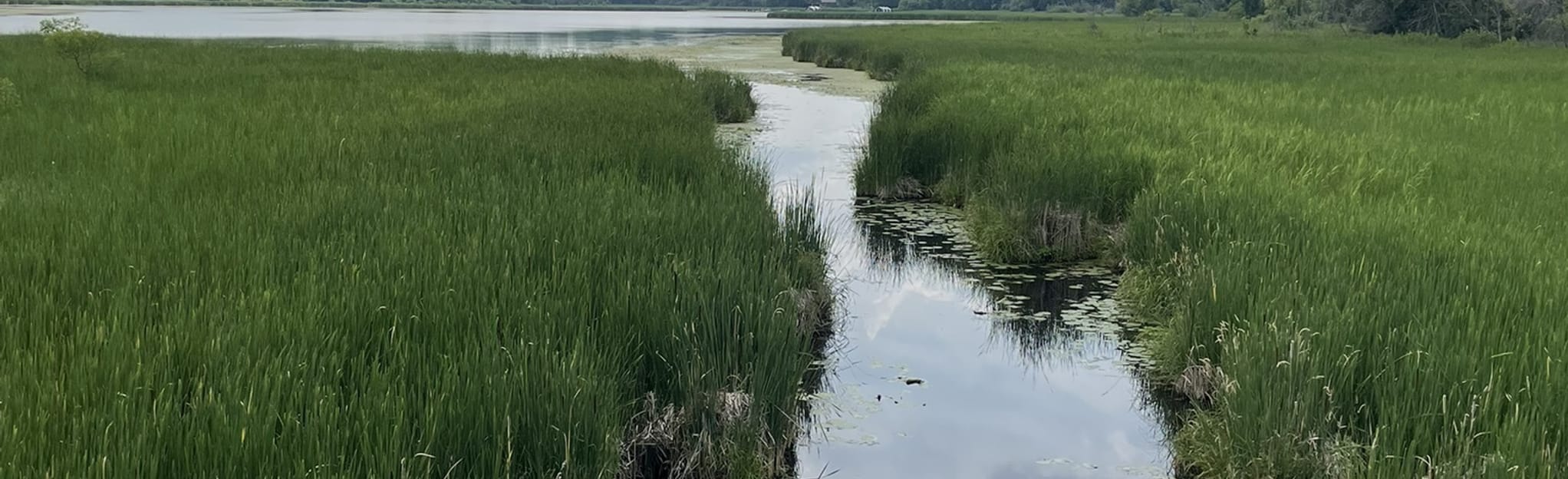 Eagle Lake Trail, Minnesota - 193 Reviews, Map | AllTrails