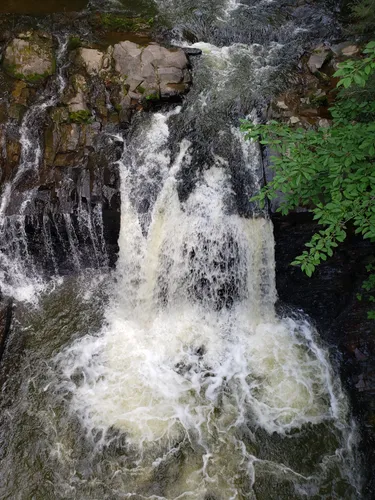 Best Hikes and Trails in Sweet Arrow Lake County Park | AllTrails