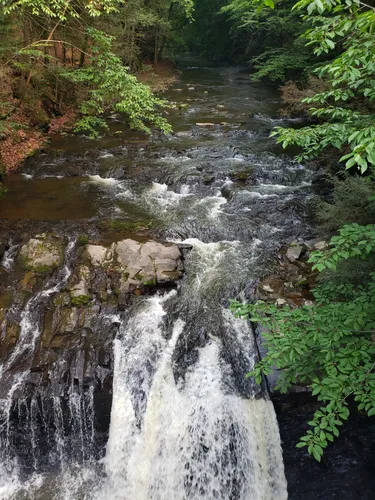 Best Hikes and Trails in Sweet Arrow Lake County Park | AllTrails