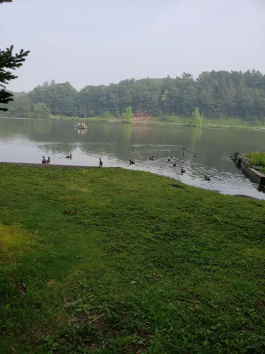 Best Hikes and Trails in Sweet Arrow Lake County Park | AllTrails