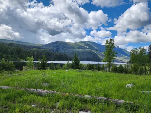 Best Forest Trails in Deer Lodge | AllTrails