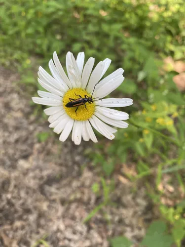 2023 Best River Trails in Fall Creek | AllTrails