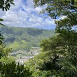 Manoa Cliff Trail, Oahu, Hawaii - 948 Reviews, Map | AllTrails