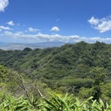 Manoa Cliff Trail, Oahu, Hawaii - 948 Reviews, Map | AllTrails