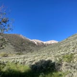 Boundary Peak Trail, Nevada - 191 Reviews, Map | AllTrails