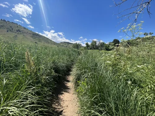 10 Best Hikes and Trails in White Ranch Park | AllTrails