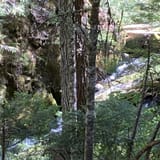 Mink Lake, Washington - 210 Reviews, Map | AllTrails