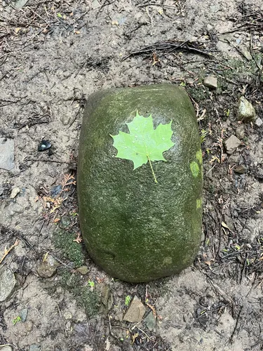 2023 Best Lake Trails in Pretty River Valley Provincial Park | AllTrails