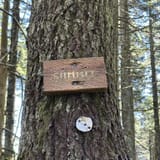 Augspurger Mountain Trail, Washington - 116 Reviews, Map | AllTrails