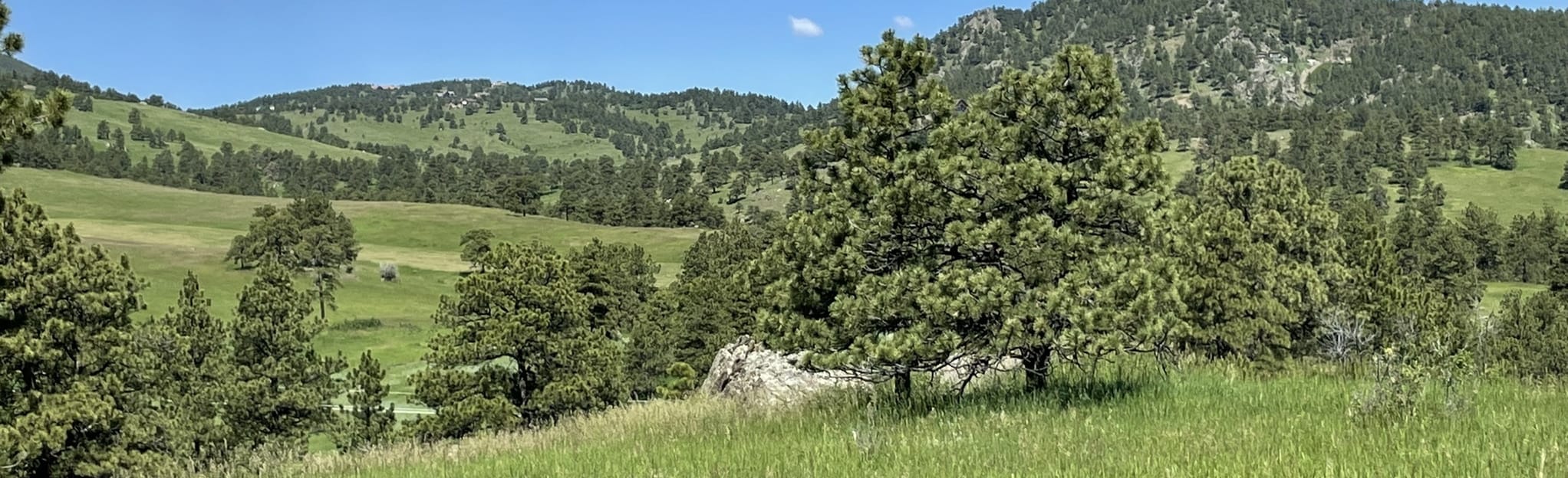White Ranch Open Space MTB Trails: 3.002 foto's - Colorado | AllTrails