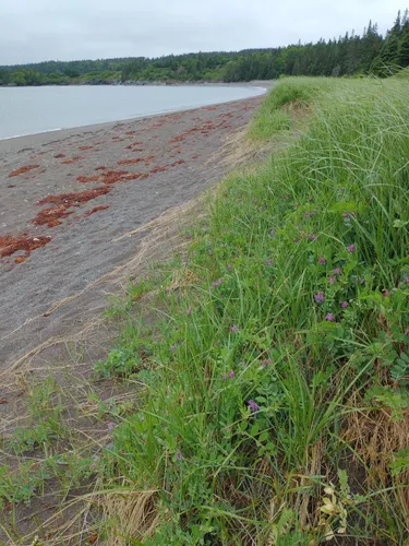 2023 Best Beach Trails in Black River | AllTrails