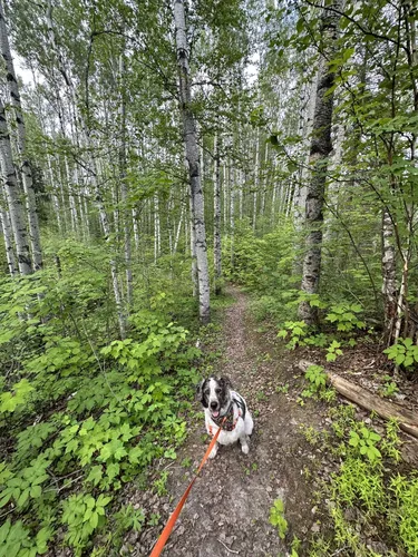 Best Hikes and Trails in MacLeod Provincial Park | AllTrails