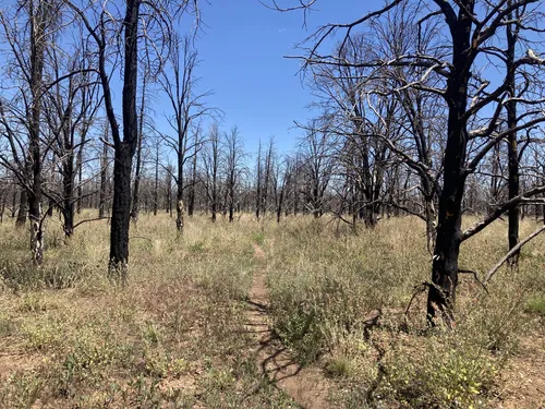 10 Best Trails and Hikes in Jacob Lake | AllTrails