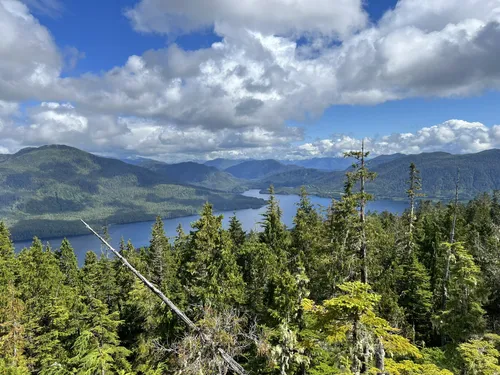 10 Best Trails and Hikes in Prince Rupert | AllTrails