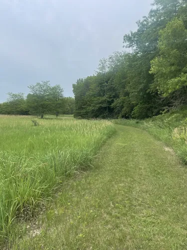 2023 Best Forest Trails in Quimby | AllTrails