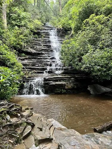 10 Best Hikes and Trails in Chattahoochee-Oconee National Forest ...