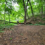 Arcola Bluffs Trail, Minnesota - 166 Reviews, Map | AllTrails