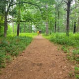 Arcola Bluffs Trail, Minnesota - 196 Reviews, Map | AllTrails