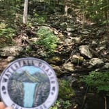 Cascade Falls Loop Trail, Massachusetts - 765 Reviews, Map | AllTrails