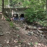Cascade Falls Loop Trail, Massachusetts - 765 Reviews, Map | AllTrails