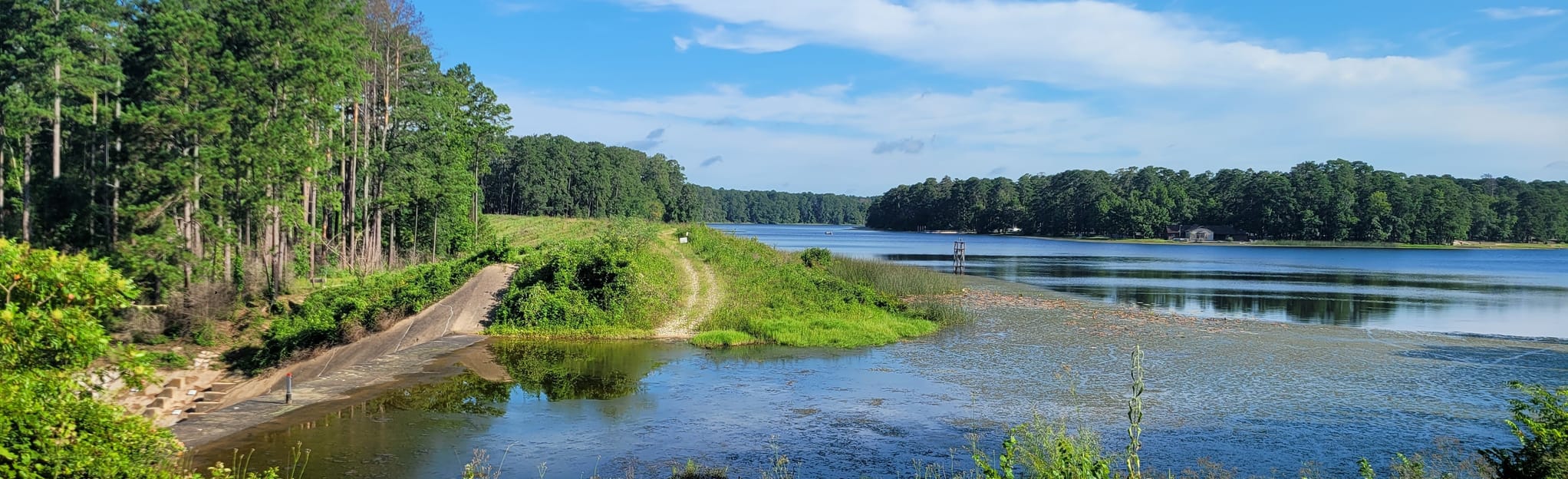 Chinquapin Trail: 131 Reviews, Map - Texas | AllTrails