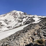 Camp Muir via Skyline Loop, Washington - 179 Reviews, Map | AllTrails