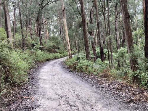 Best Hikes and Trails in Moondarra State Park | AllTrails