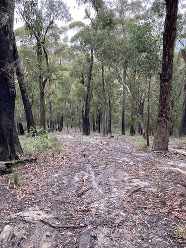 Best Hikes and Trails in Moondarra State Park | AllTrails