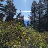 Mores Mountain Loop, Idaho - 433 Reviews, Map | AllTrails