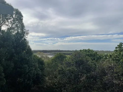 Best Walking Trails in Boondall Wetlands | AllTrails