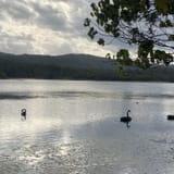 Wappa Dam and Falls Loop, Queensland, Australia - 40 Reviews, Map ...
