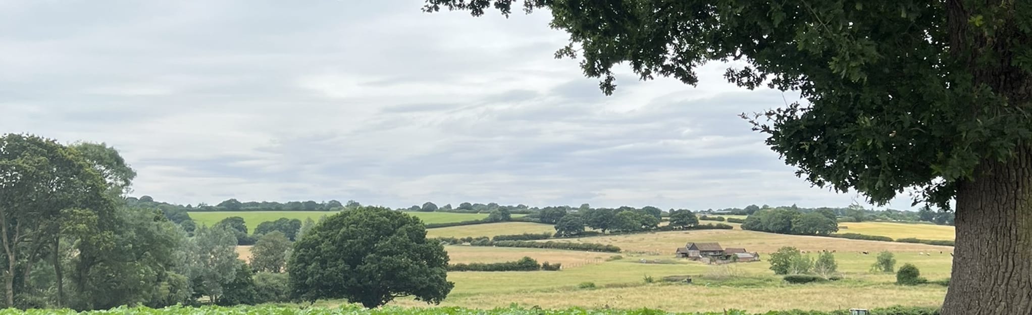 West Bergholt Hall and the Colne Valley : 115 Photos - Essex ...