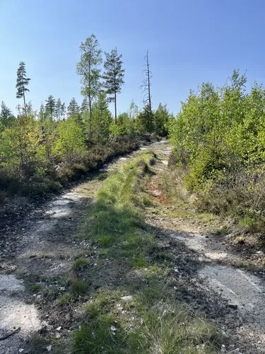 Best Trails near Tornberget | AllTrails