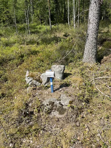 Best Trails near Tornberget | AllTrails