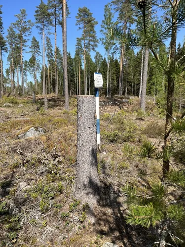 Best Trails near Tornberget | AllTrails