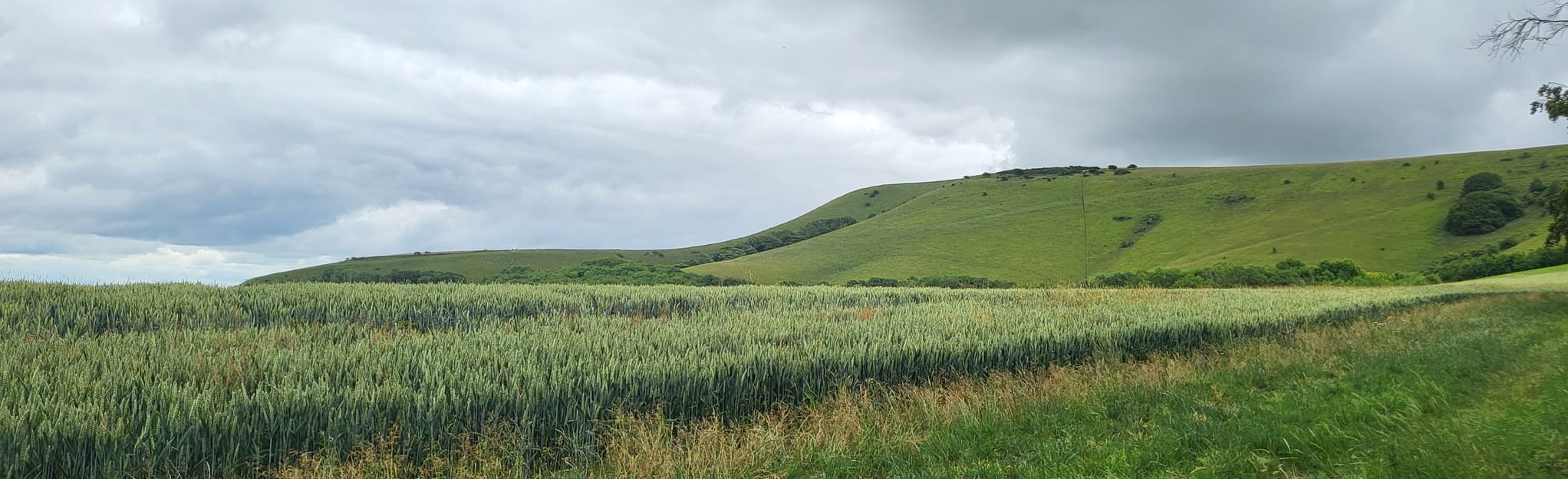 AllTrails | Firle Beacon and the South Downs Way Circular: 107 Reviews ...