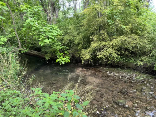 10 Best Trails and Hikes in State College | AllTrails