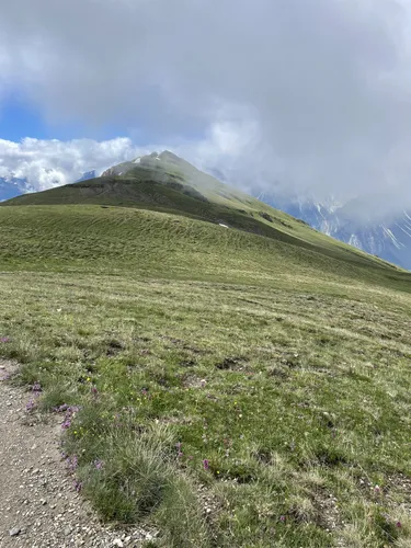 2023 Best Forest Trails in Ferden | AllTrails